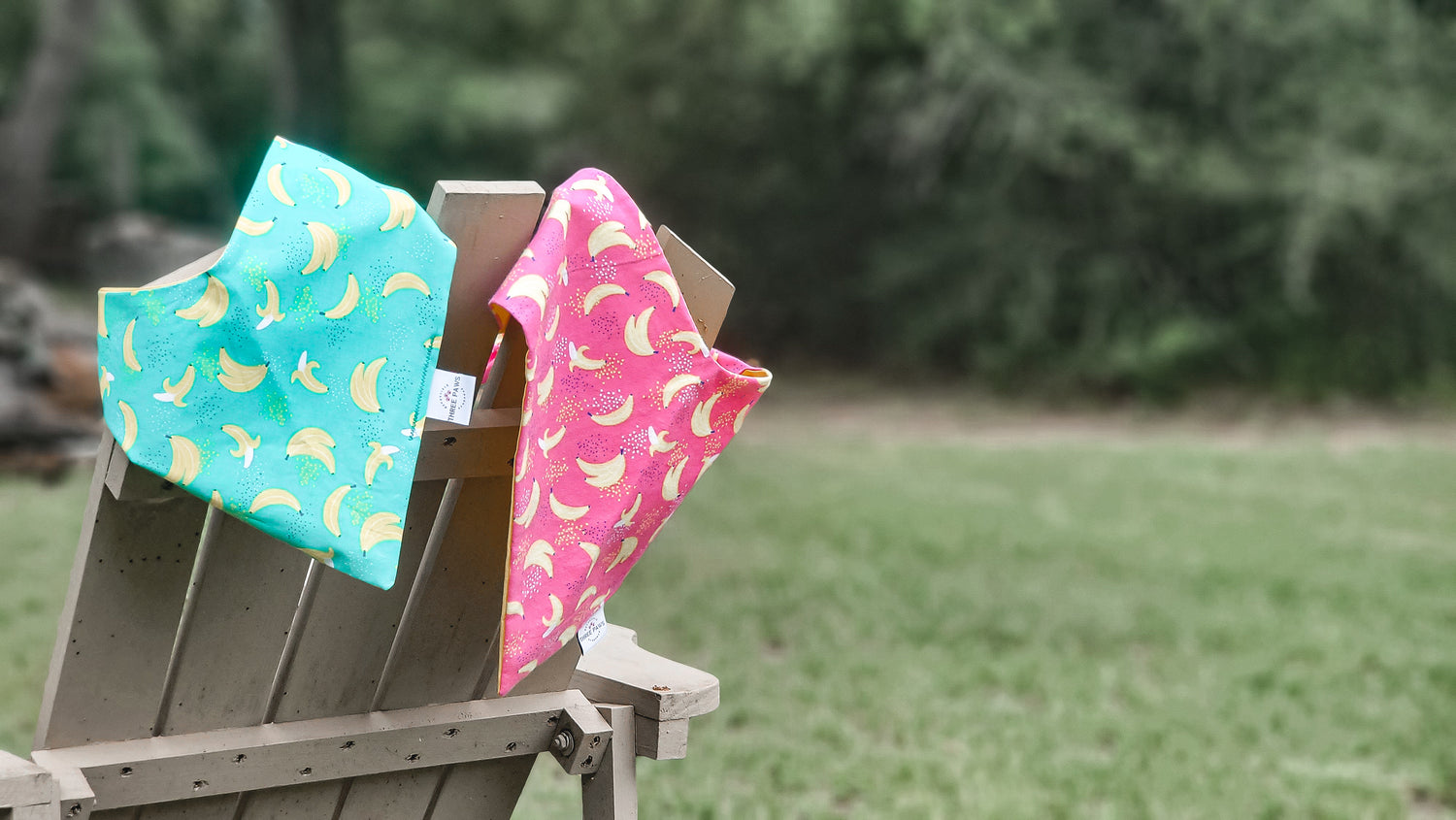 Three Paws Dog Accessories