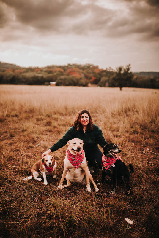 Three Paws Dog Accessories